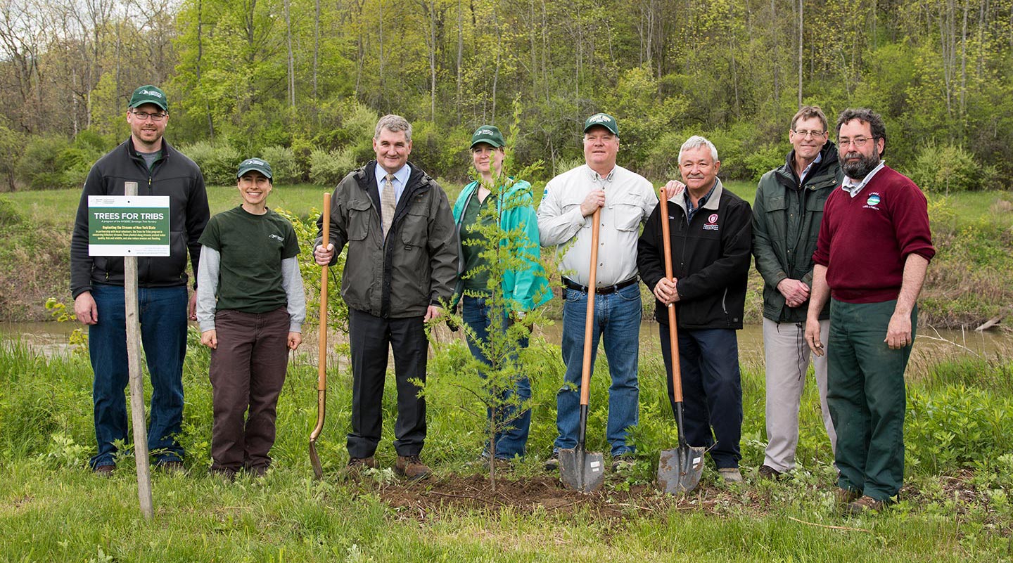 NYS offering grants for tree-planting projects – The Long Island Times