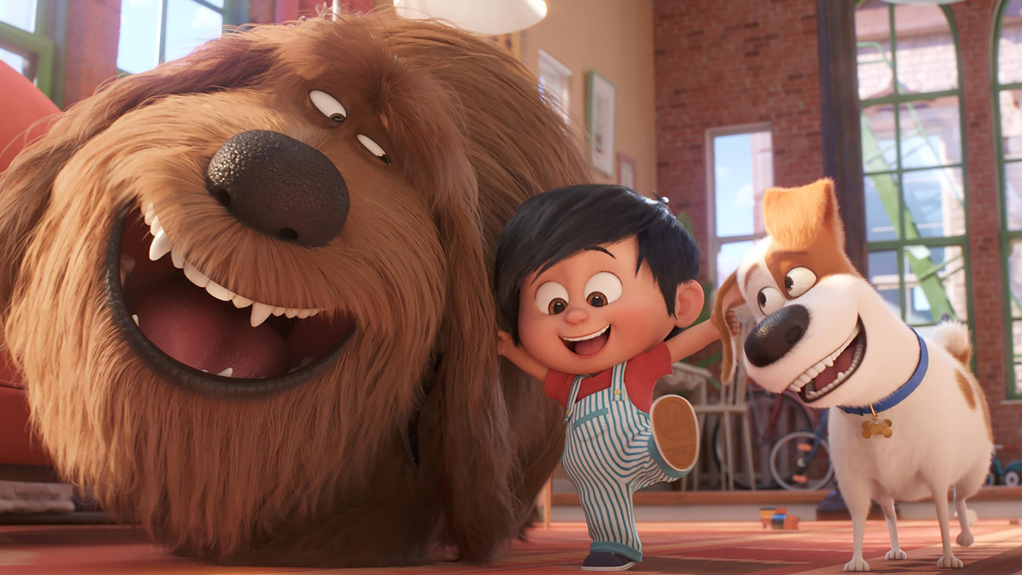 Drive-in movie becomes a pet project – The Long Island Times