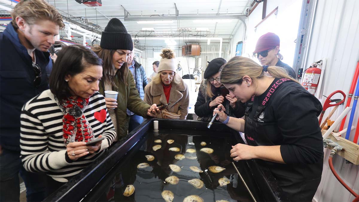 Fun for the whole clam-ily: CCE Suffolk holds annual shellfish spawning ...