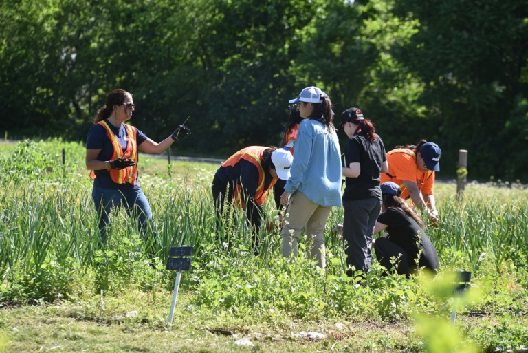 Suffolk County Farm debuts new walkway and visitor center – The Long ...