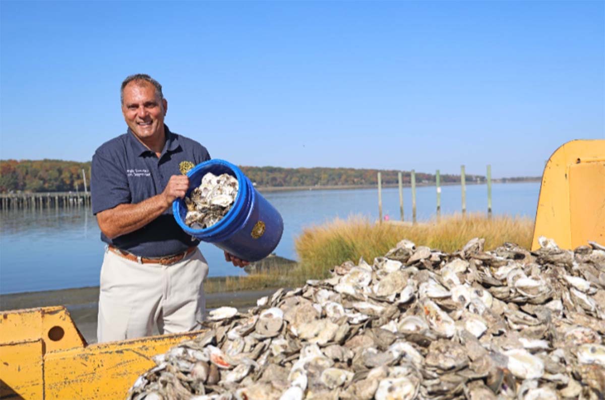 Town recycles thousands of shells from Oyster Festival for harbor ...