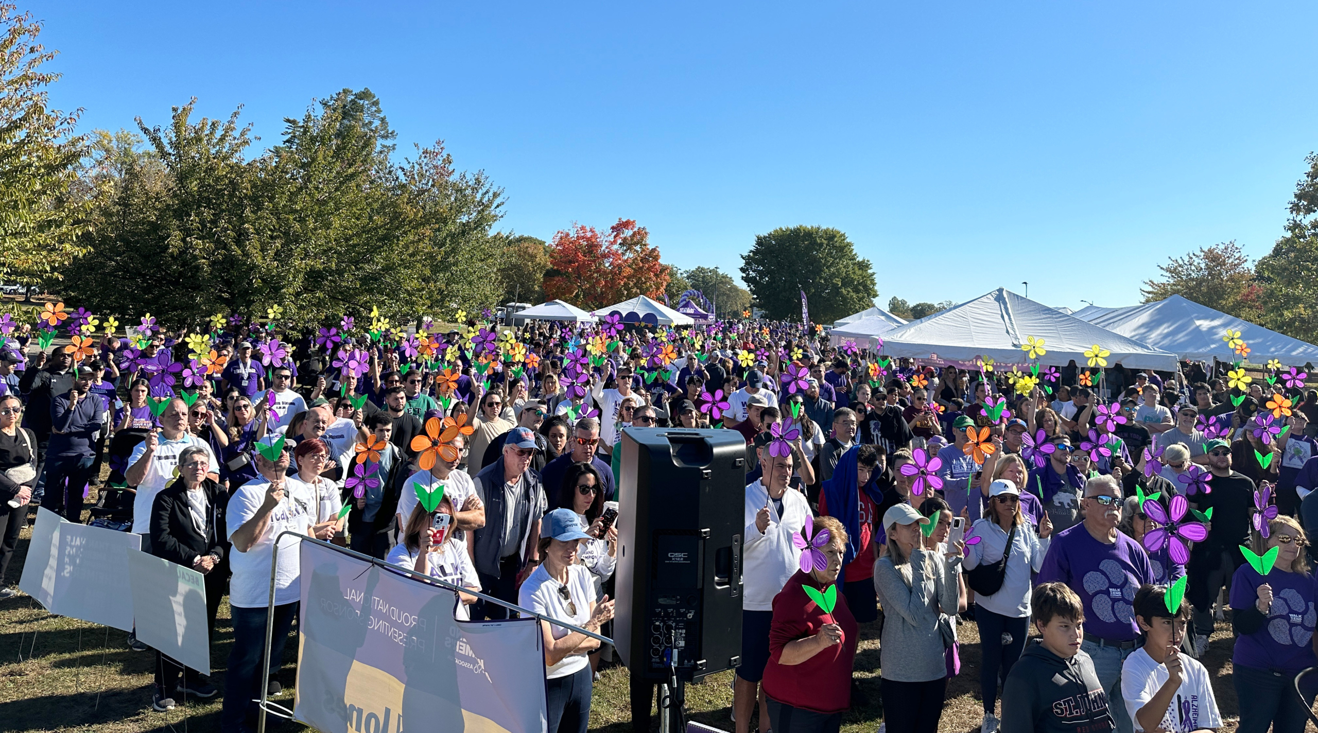 Eisenhower Park walk raises $309K for Alzheimer’s research – The Long ...