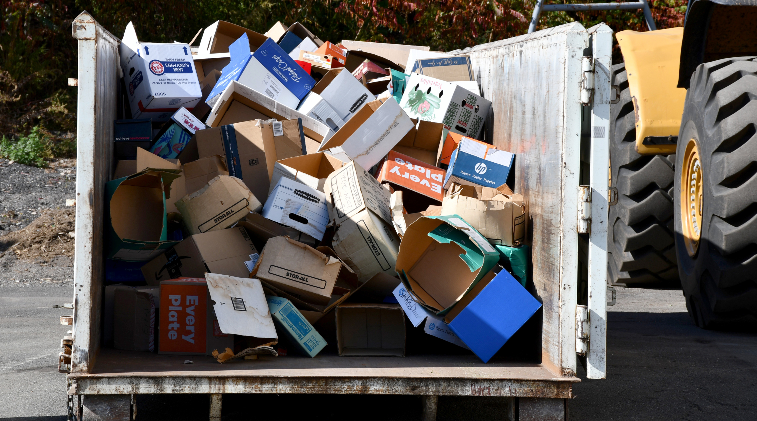 Smithtown celebrates another successful shred event – The Long Island Times