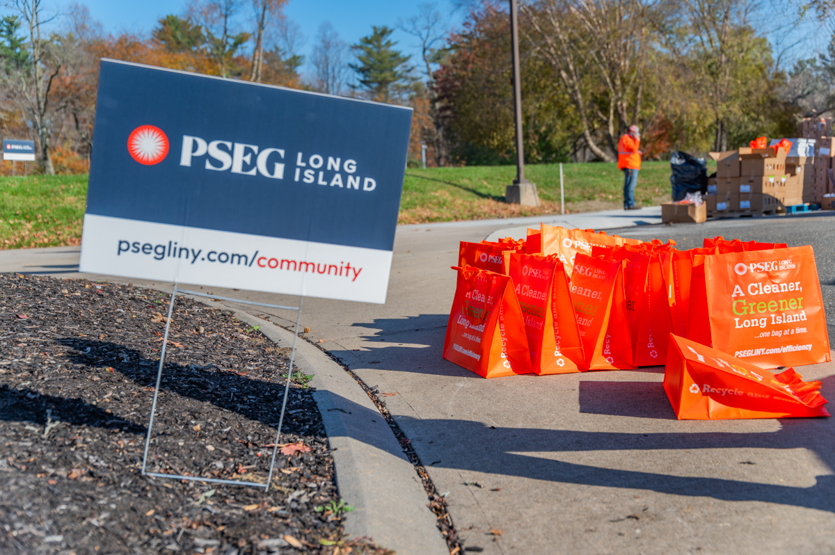 PSEG-LI employees serve veterans in November – The Long Island Times