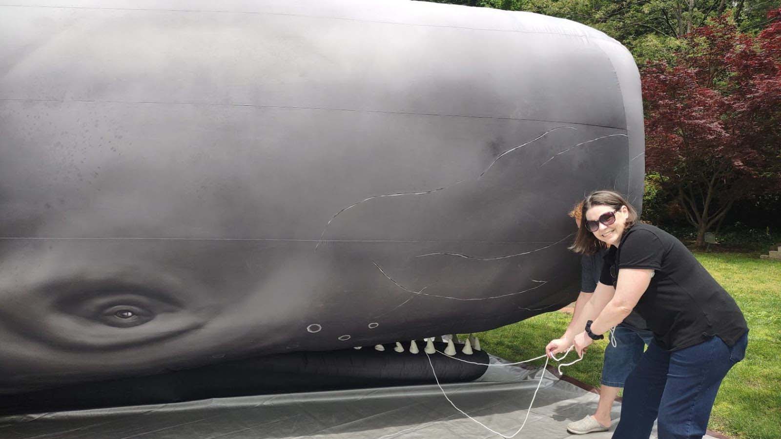 ‘Great Whale Takeover’ brings a whale of a time to Cold Spring Harbor ...