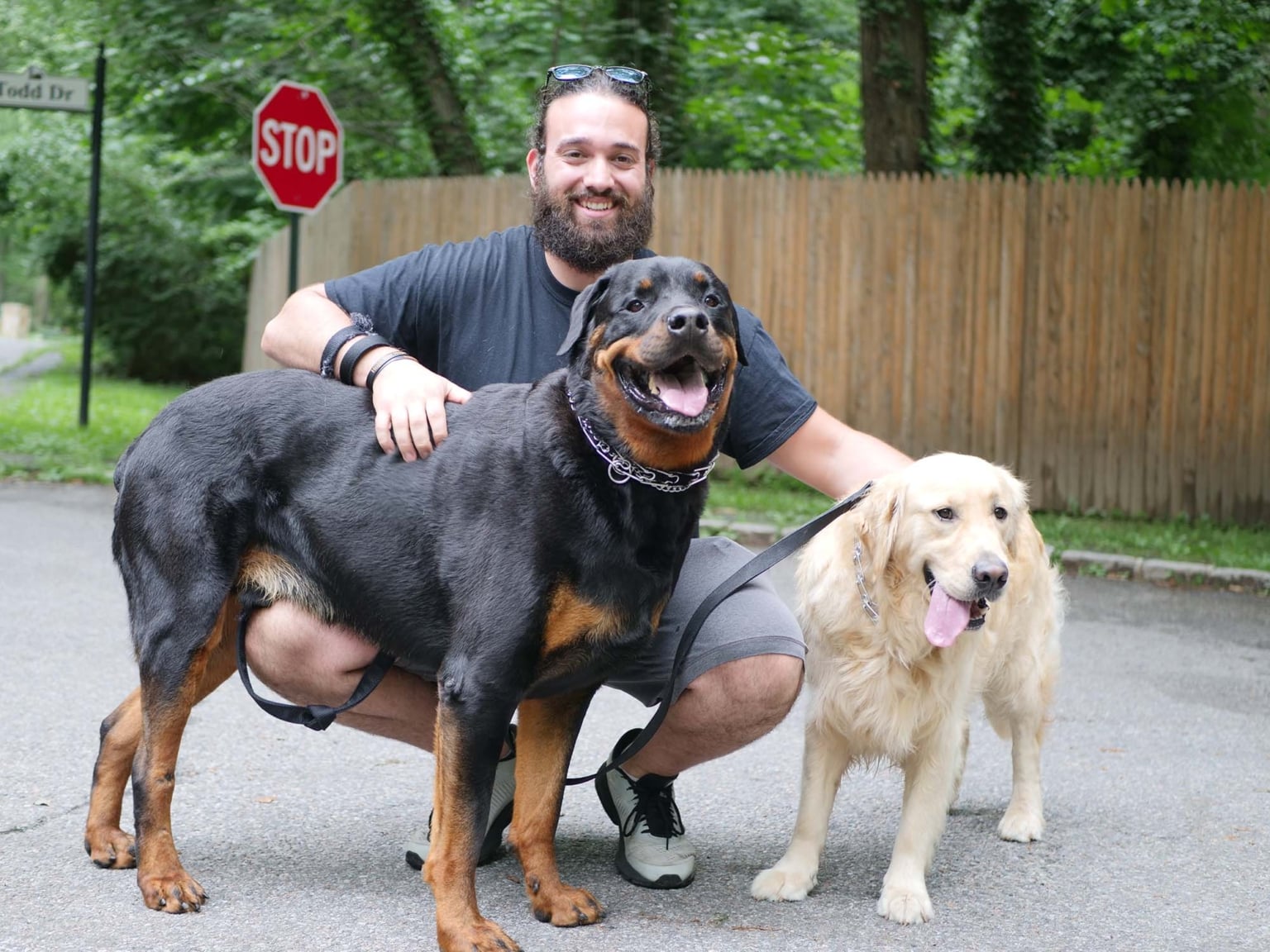 Dan’s Pet Care launches giveaway for rescue adoptions – The Long Island ...